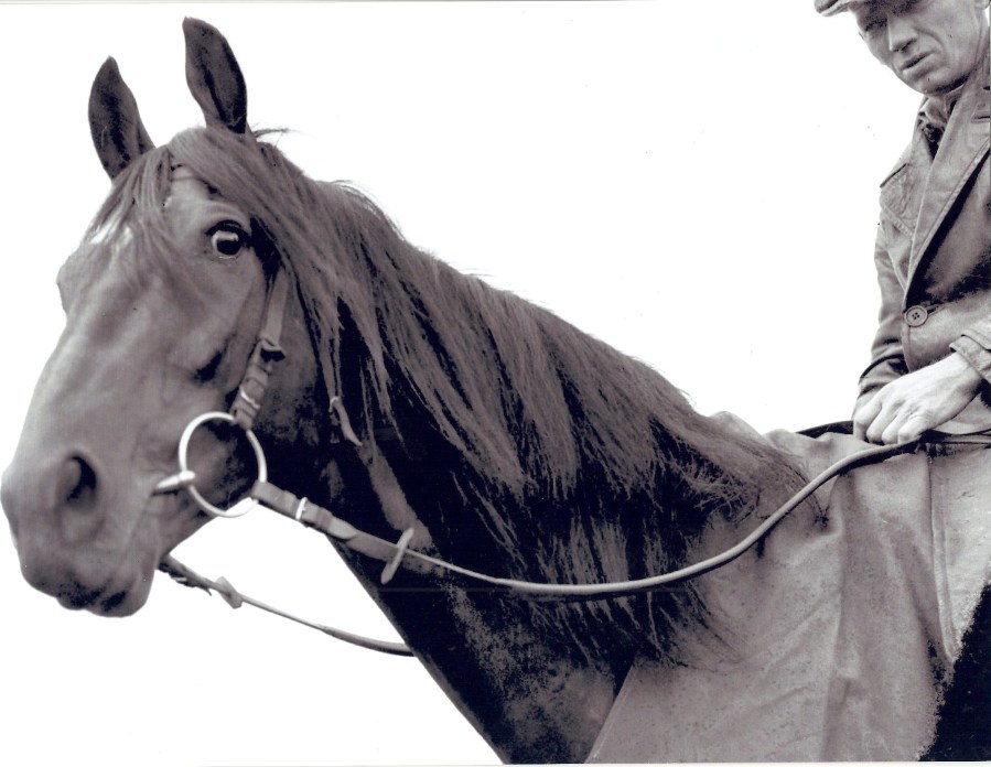 Racing: More On The Importance Of Being Ernest McQuillan – Royce Levi ...